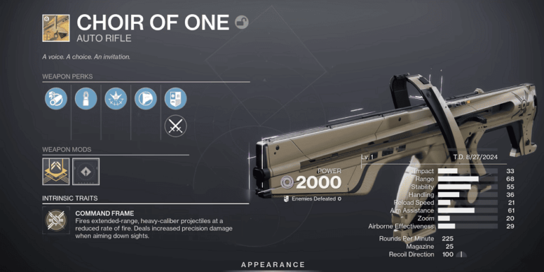 Best Auto Rifle in Destiny 2 The Edge of Fate (PvP & PvE Tier List)